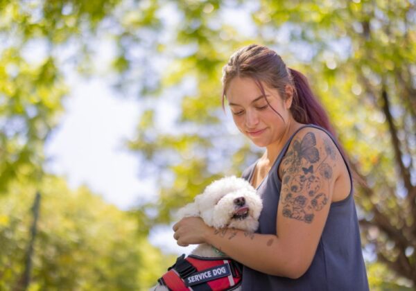 A Beginners Guide to How Animal Control Services Work: A Behind-the ...